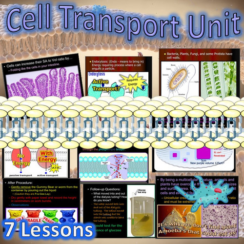 Cell Biology Part 2: Cell Transport Lesson Bundle | www.slidespark.net