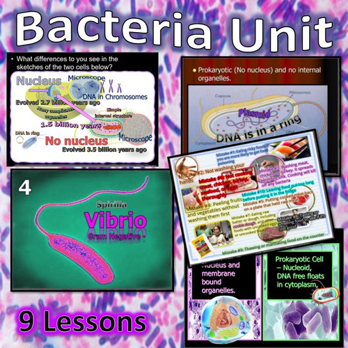 Taxonomy and Classification Unit Part 2: Bacteria | www.slidespark.net