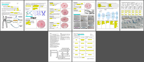 DNA and Genetics Unit Part 2: Cell Division, Mitosis, Cell Cycle Lesson ...