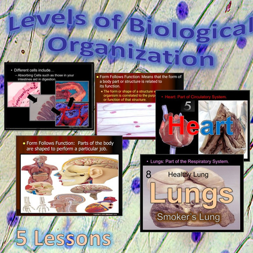 Human Body Systems Part 1 Levels of Biological Organization | www ...