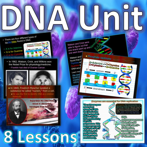 DNA and Genetics Unit Part 1: DNA, Discovery, Structure, RNA, Inherited ...