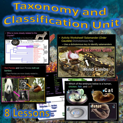 Taxonomy and Classification Unit: Part 1 Introduction and Activities ...