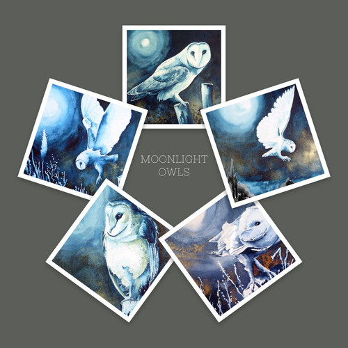 Greeting cards - Moonlight owls (pack of 5) | Denny Webb