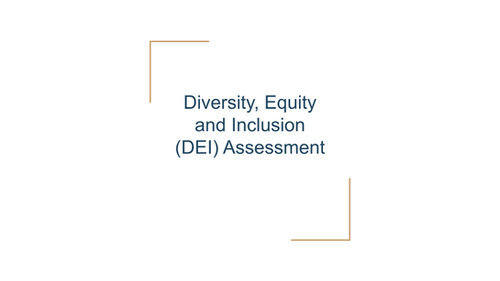 Diversity, Equity and Inclusion (DEI) Assessment | My Site 2