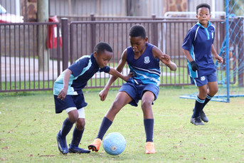 Gallery | Millstream School N