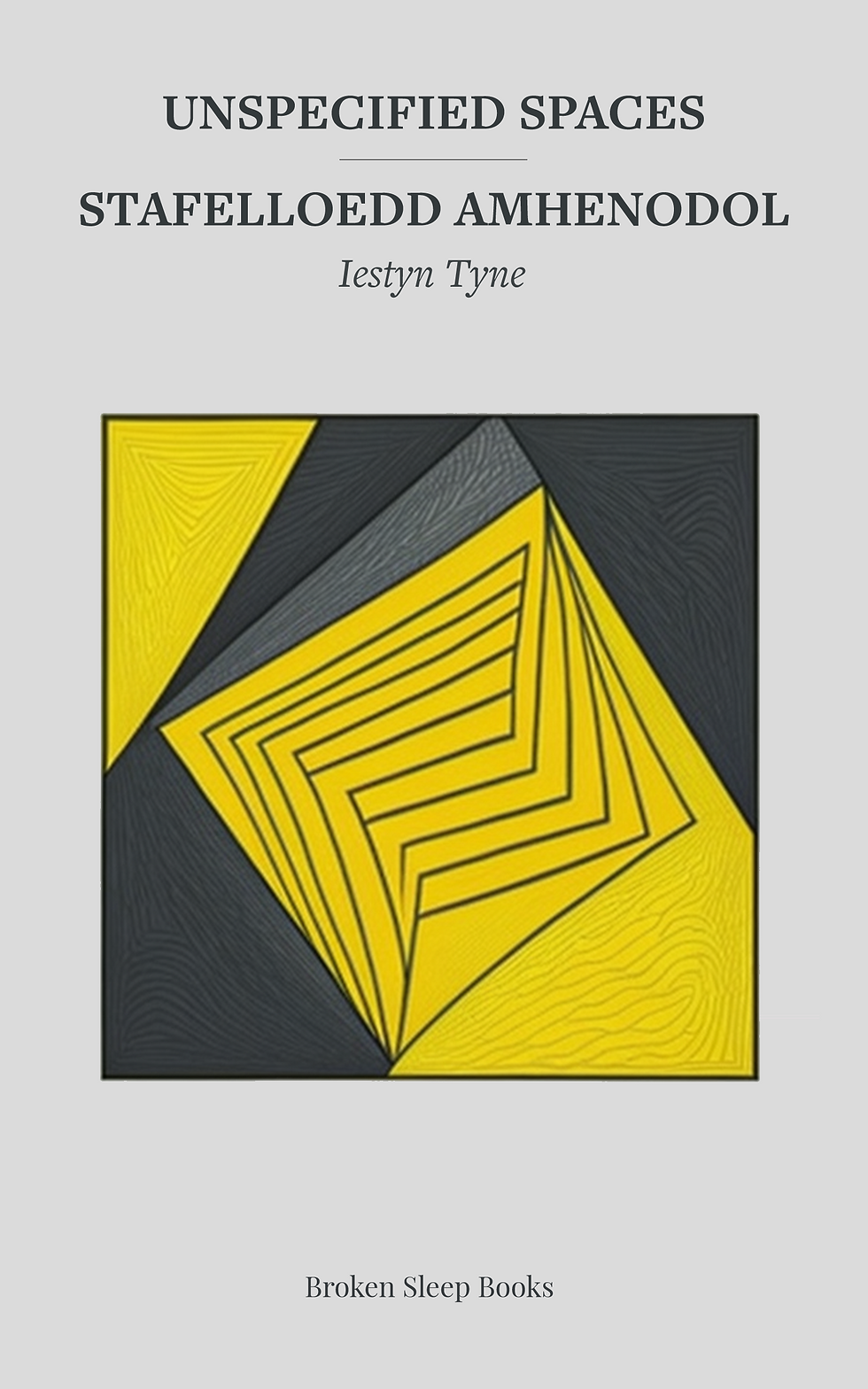 Iestyn Tyne - Unspecified Spaces / Stafelloedd Amhenodol | Broken Sleep ...