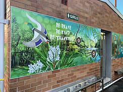 edugrafix - blinds | custom designed to your school