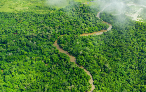 All Products | TreeSisters