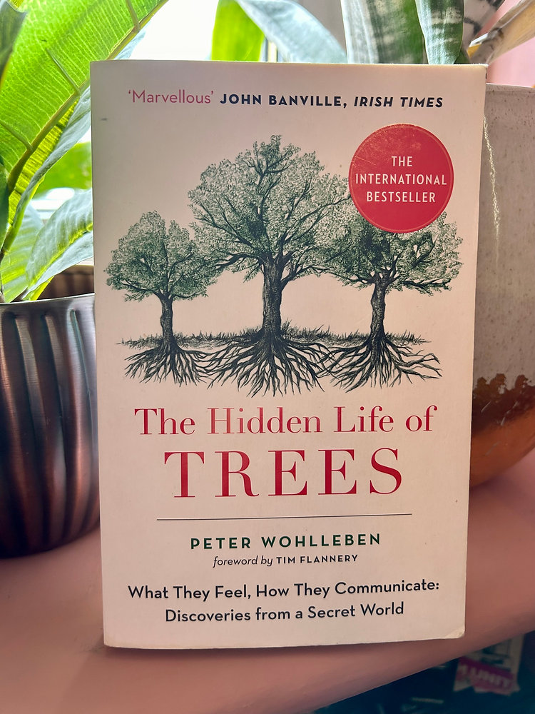 Nature Connections Book Club: The Hidden Life of Trees