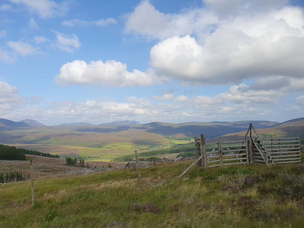 Exploring the Natural Beauty: Top 5 Walks in Sutherland (East), Scotland
