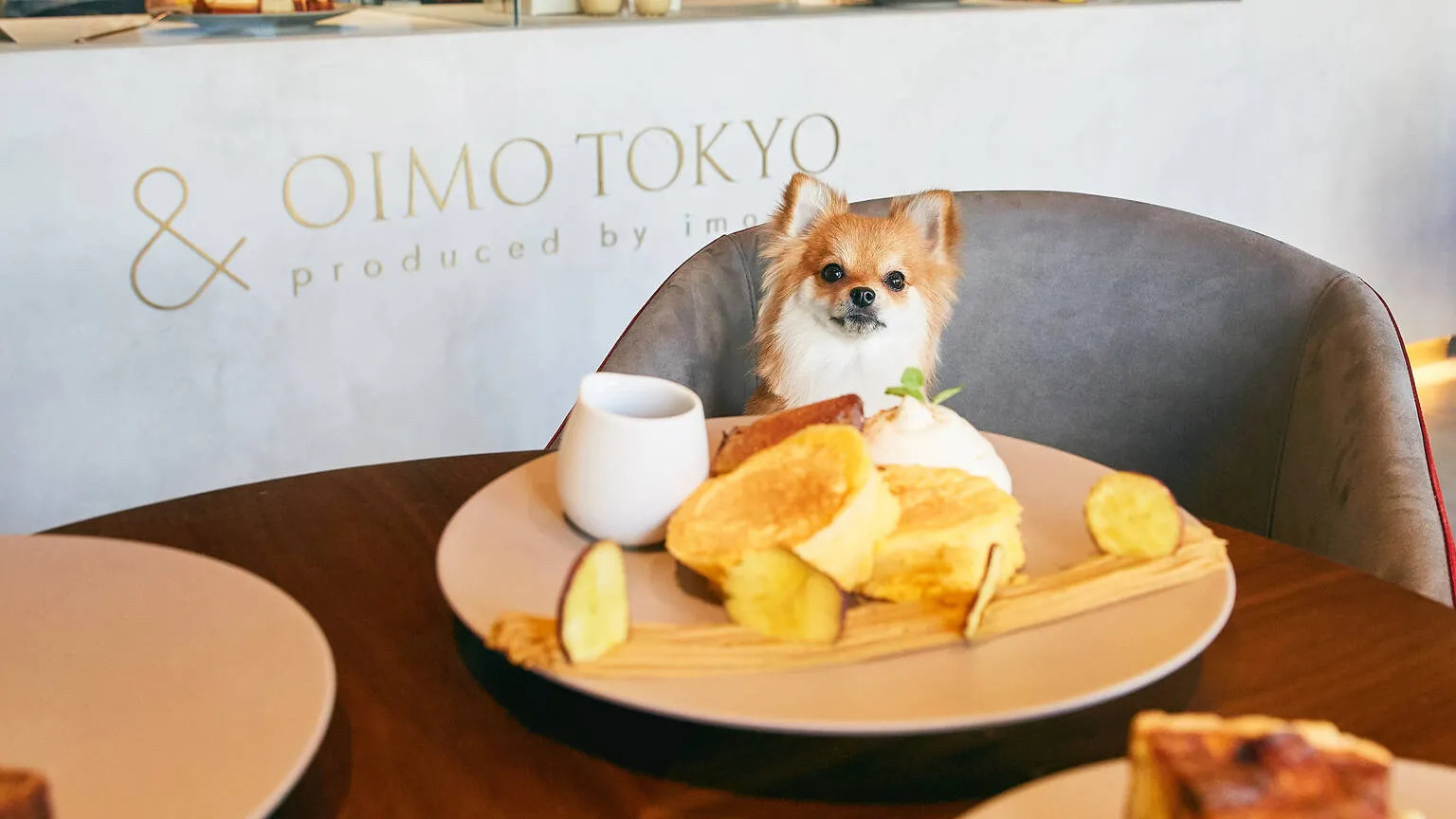 Top 12 Dog-Friendly Restaurants in Tokyo