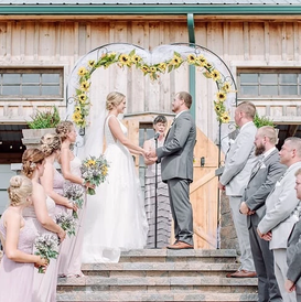 Home | Springside Farm LLC Agritourism Farm Fabius