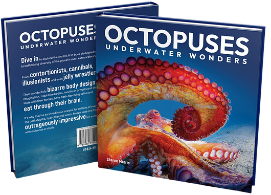 Home | Octopusesbook