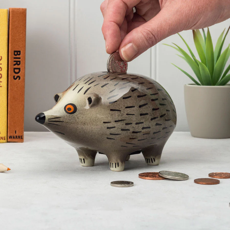 Handmade Hedgehog Money Box | Coopers