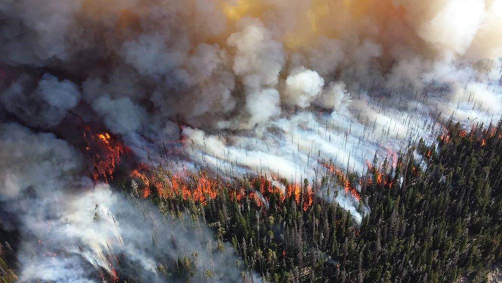 Reimagining Wildfire-Resilient Infrastructure in America