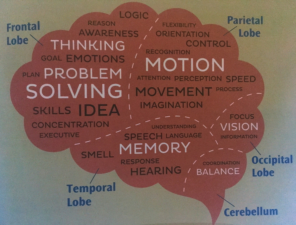 Dementia A Normal Part Of Aging dementia-a-normal-part-of-aging