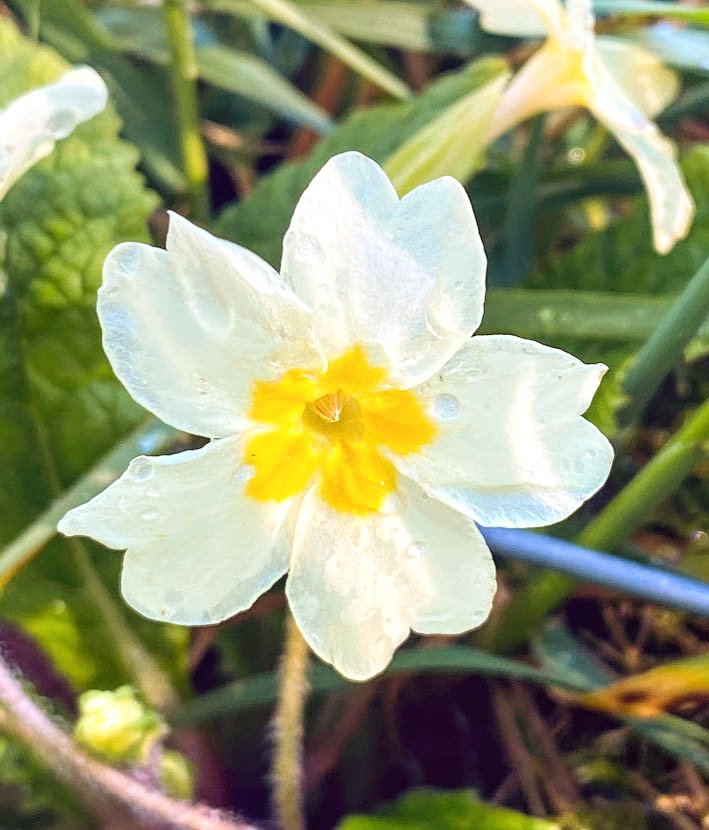 How To Make the Most of a Short Photography Shoot