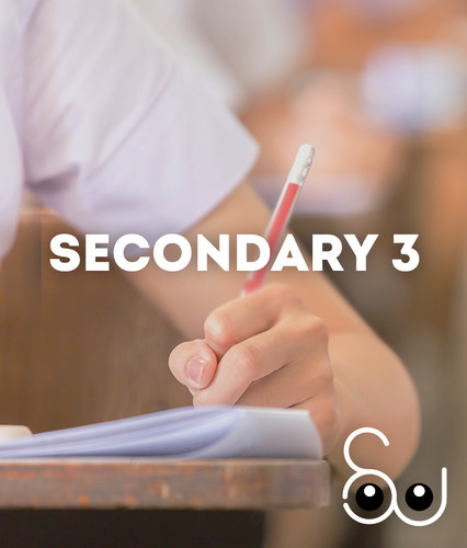Secondary 3 - Principles of Accounts | Schoolwerks