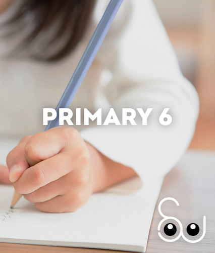 Primary 6 - Science | Schoolwerks