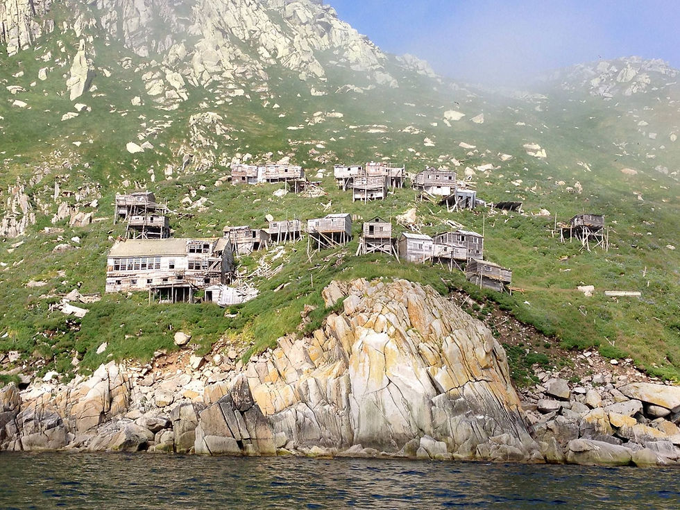 Home [www.kingislandnativecommunity.org]