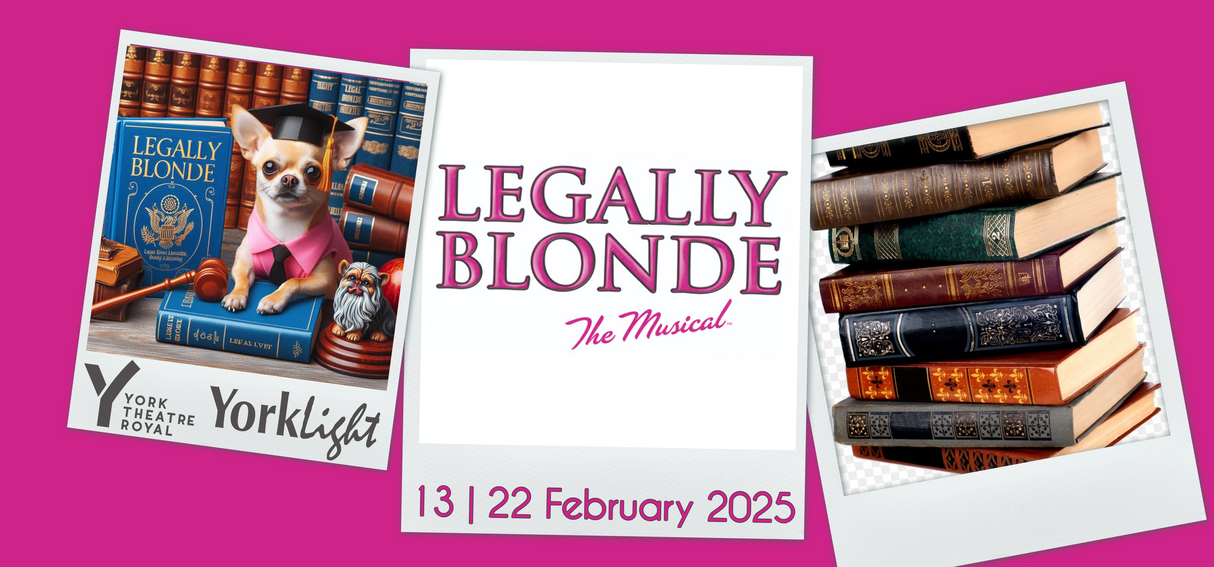 Legally Blonde the Musical | York | York Light Opera Company