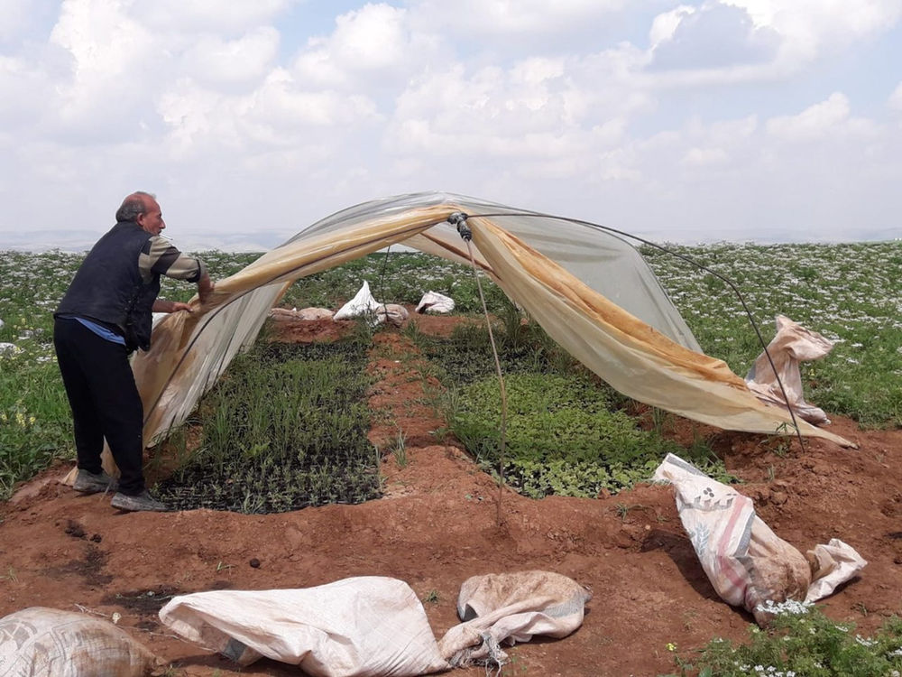 Syria: A follow up visit to 4 villages in North East Syria