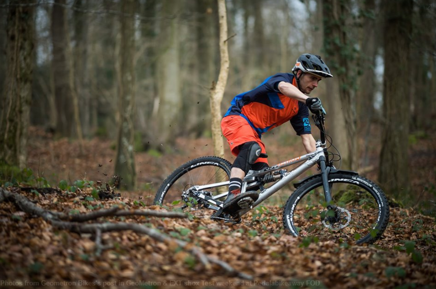 Forest of Dean Mountain Biking