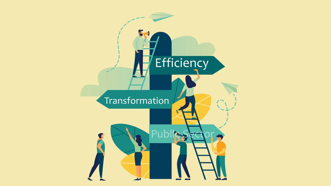 Public Sector Transformation Scheme