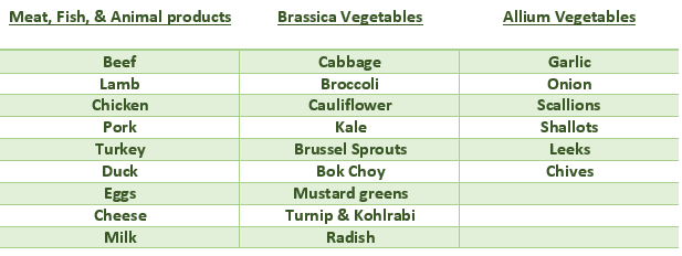 Sulfate I: The Basics
