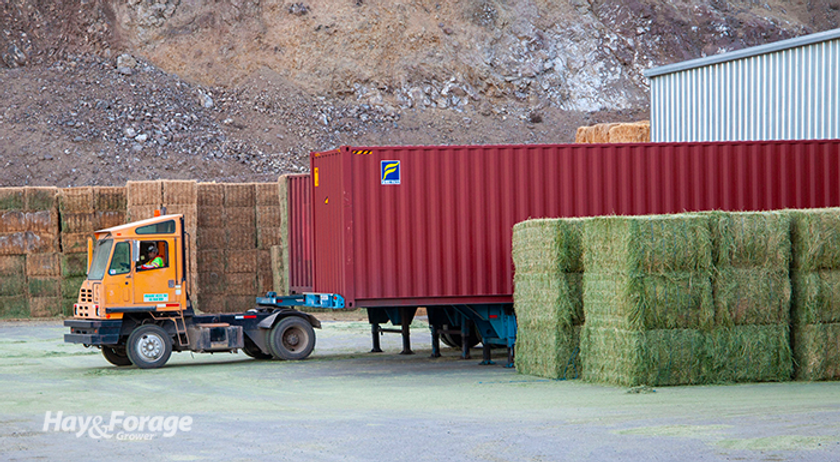 Hay exports tumbled in 2023
