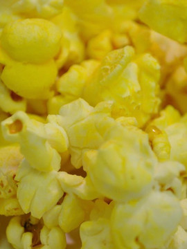 Home | Colorado Kernels Wholesale