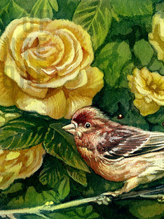 GALLERY | theartofmontemoore