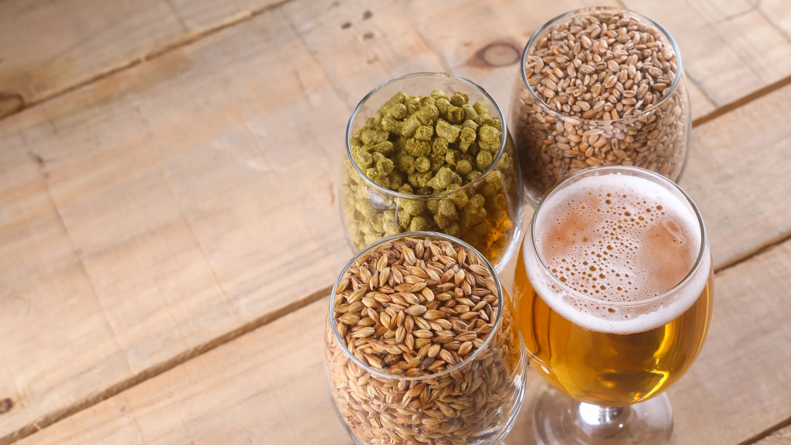 Start | How To Make Bier