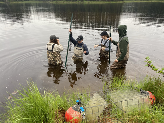 Wahkohtowin explores periphytometer tool in assessing forestry ...