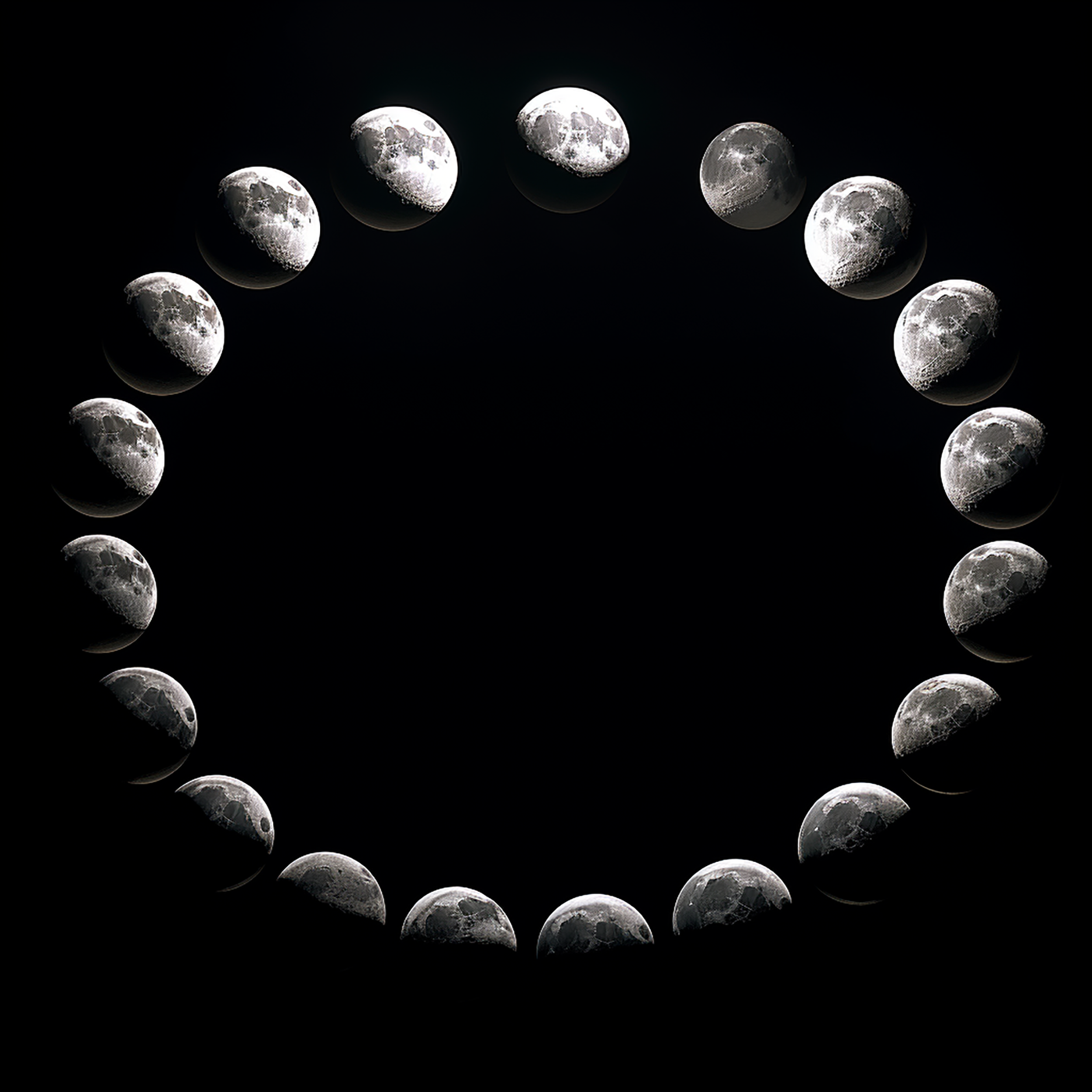 Nitya Devis | Manidvipa