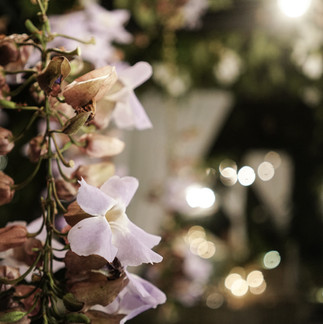 GalleryNUGA | NUGA RosmeadNUGA Rosmead