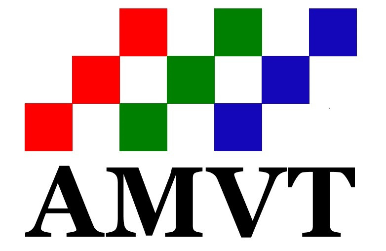 About | AMVT LLC