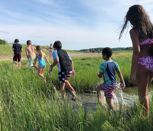 Levitate Foundation | Levitating Communities through Music, Arts, and ...