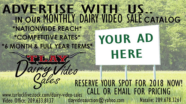 DAIRY VIDEO SALES | Turlock Livestock Auction Yard, Inc. | Turlock