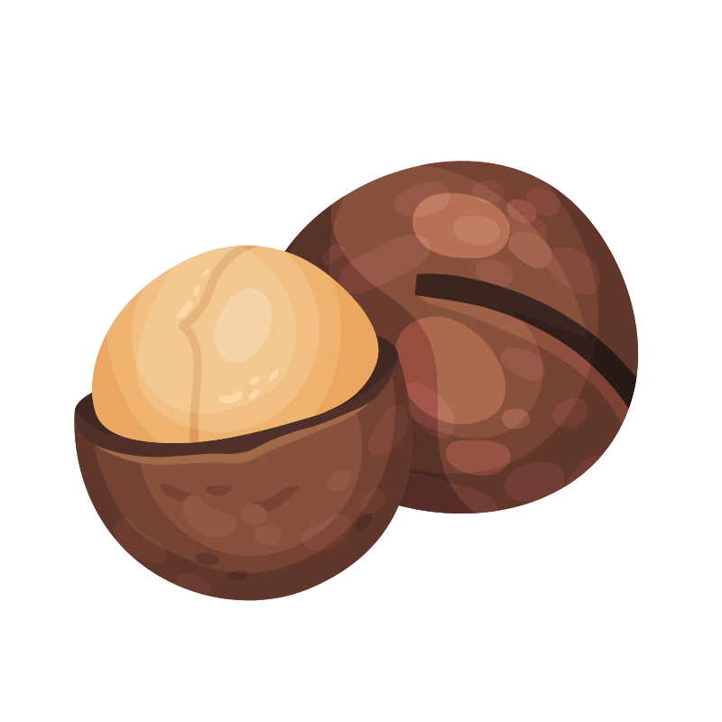 Beaumont (Macadamia) | Fruitfool