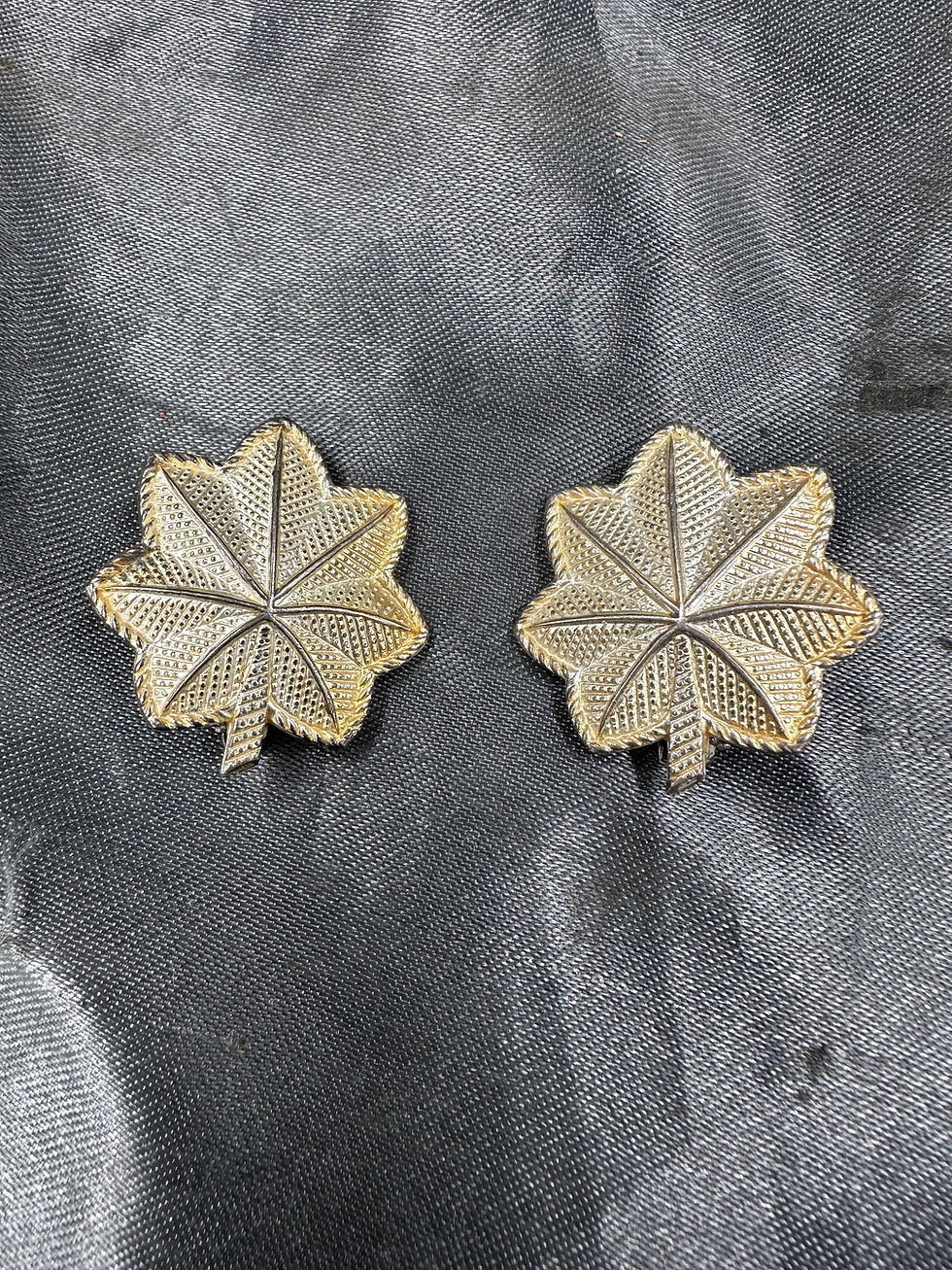 WWII US MAJOR INSIGNIA | The War Front