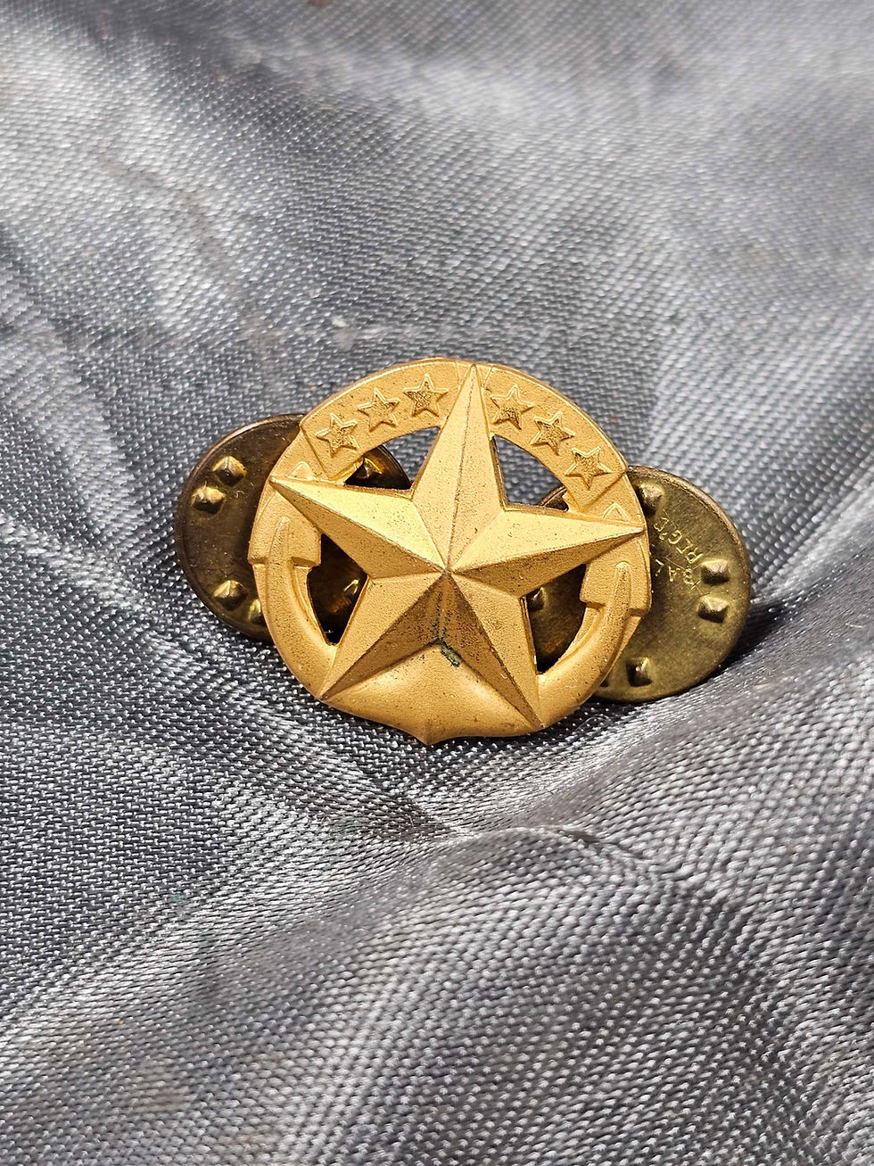 US NAVAL COMMAND AT SEA PIN | The War Front