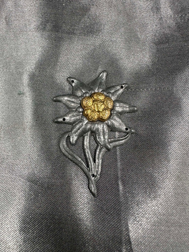 WWII GERMAN EDELWEISS | The War Front