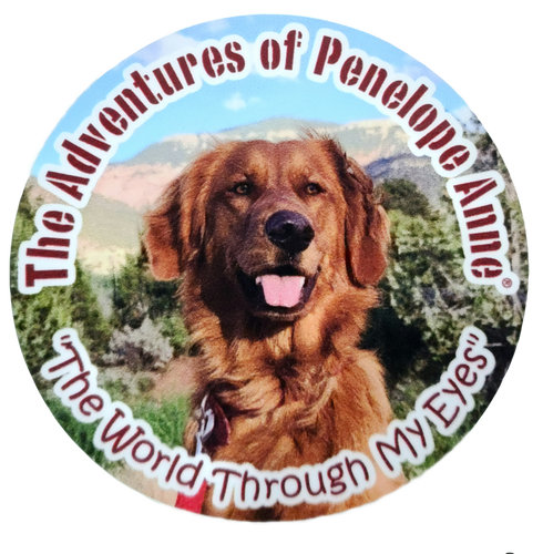 3.25" Decal | Penelope Anne