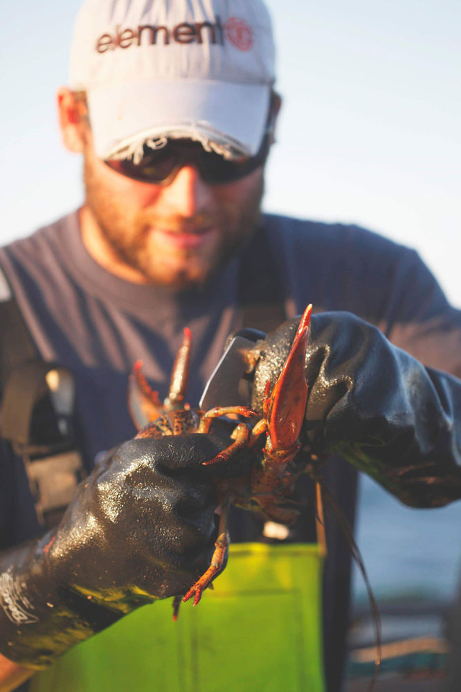 Qui est Maxime Poirier