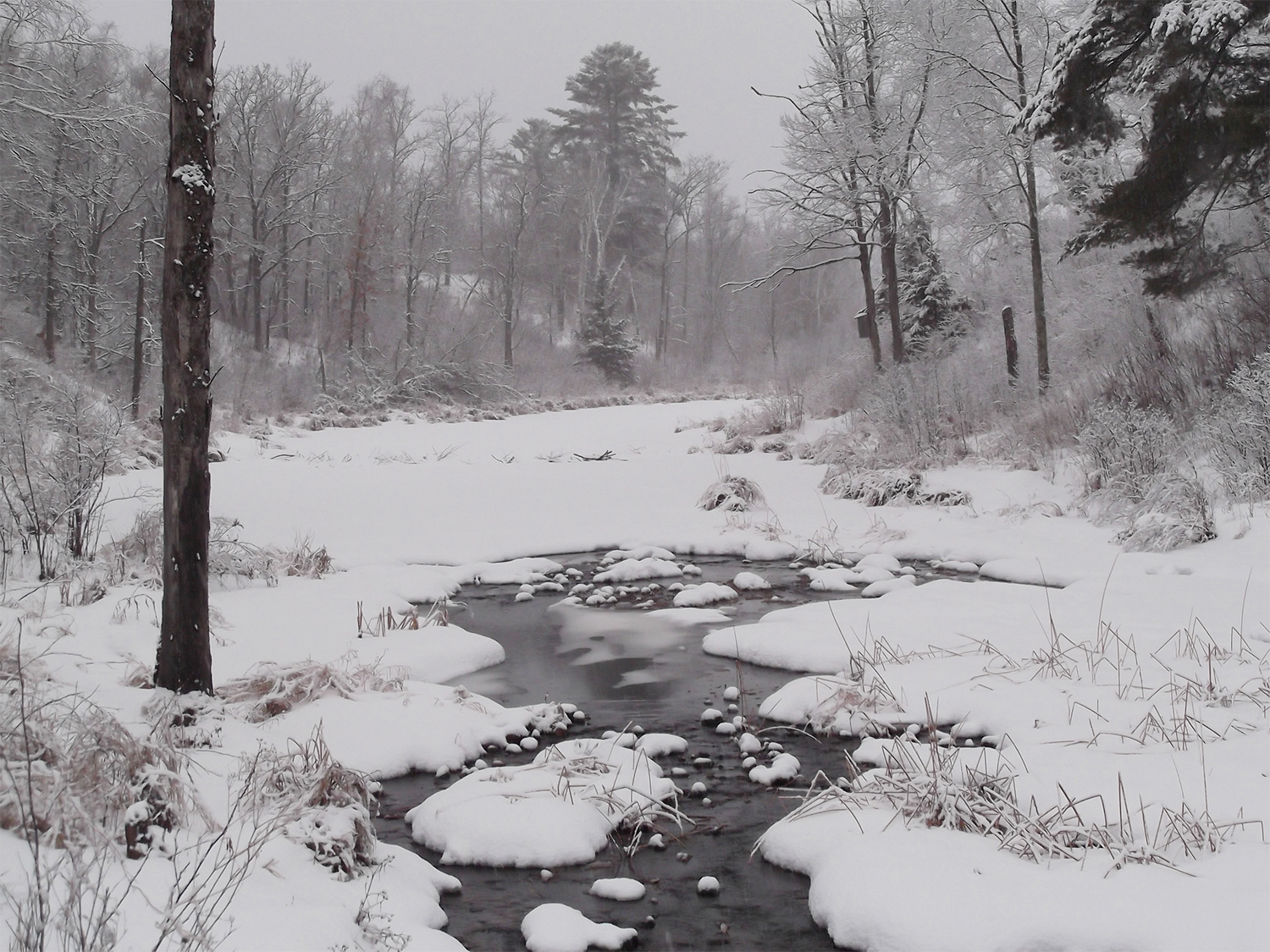 Information about Birchwood WI | Birchwood Area Chamber of Commerce