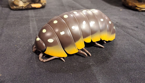 Isopod Toy | Isopod