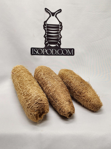 Natural loofa | Bioactive