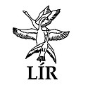Lir Whistle | tin whistle
