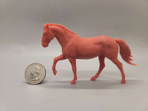 Tennessee Walker Stallion | Rising Daylight